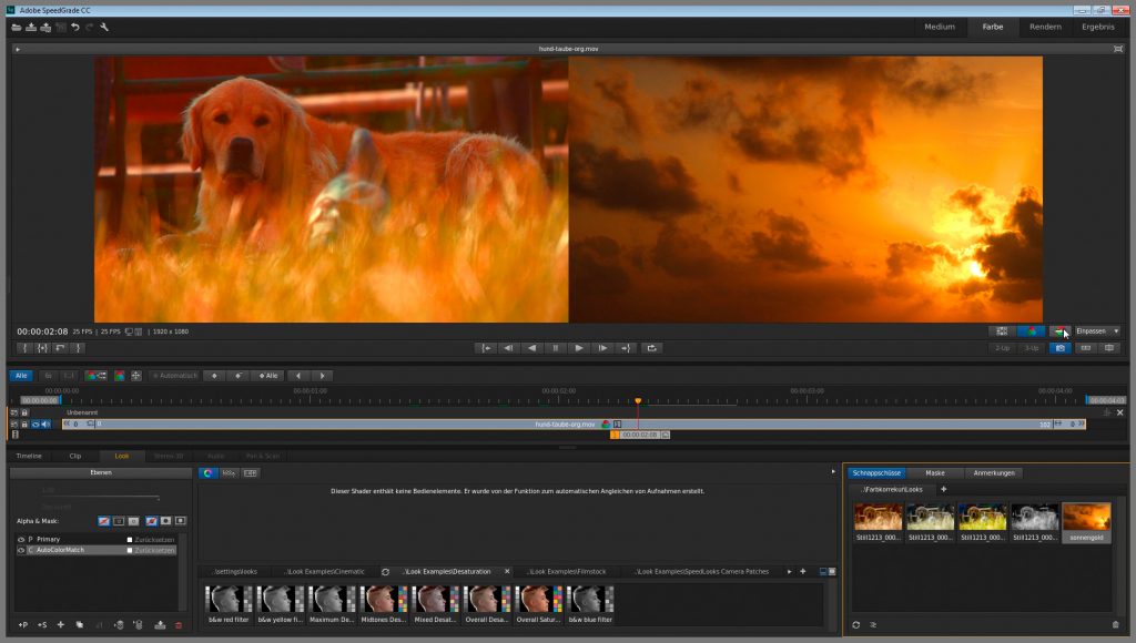 Lernkurs: Farbkorrektur und Color Grading