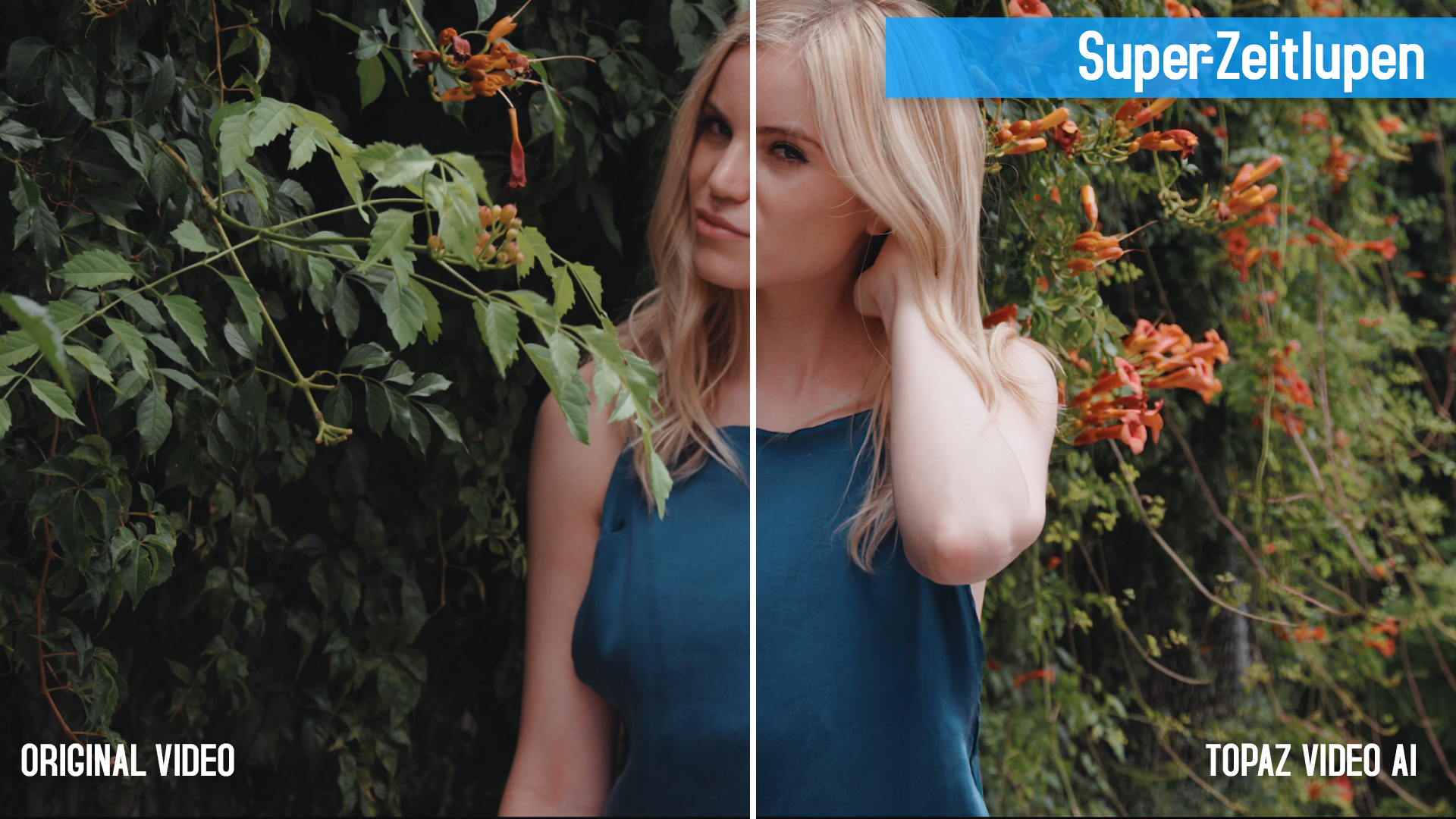 TOPAZ VIDEO - Software (mtl.) - Filmpraxis