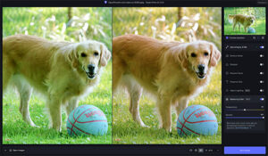 TOPAZ PHOTO - Software (mtl.) - Filmpraxis