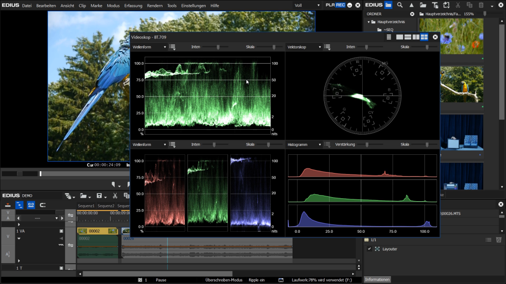 EDIUS Praxistraining #02 Primäre Farbkorrektur (Download) - Filmpraxis