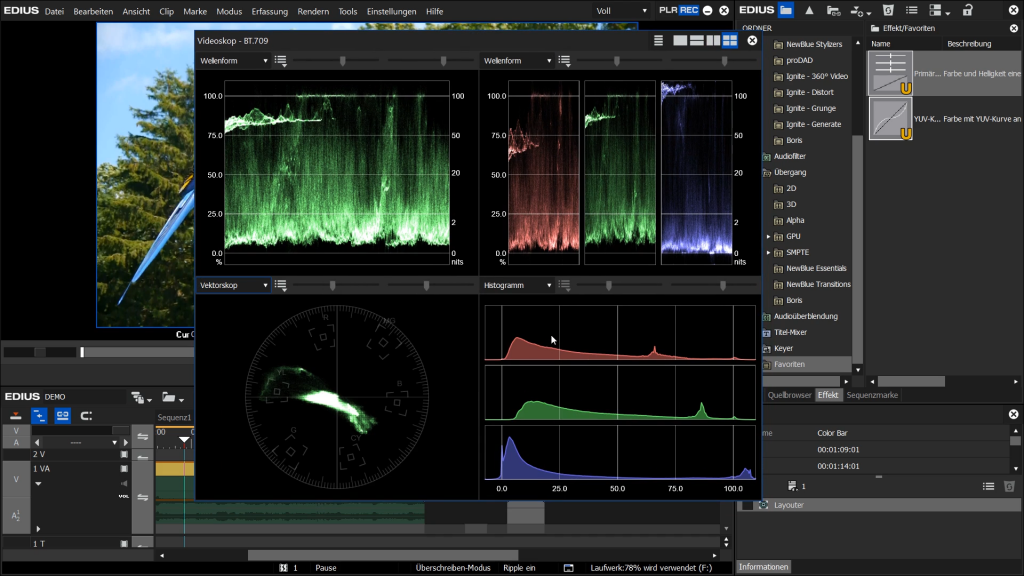 EDIUS Praxistraining #02 Primäre Farbkorrektur (Download) - Filmpraxis