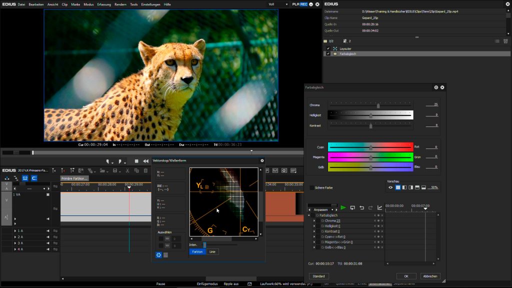 EDIUS Praxistraining #02 Primäre Farbkorrektur (Download) - Filmpraxis